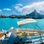 Crazy sea horse Bora Bora Comfortable boat, snorkeling and lunch - The Sum Up