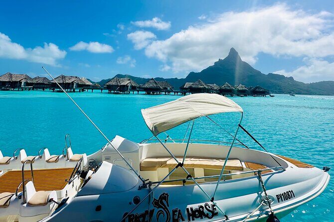 Crazy sea horse Bora Bora Comfortable boat, snorkeling and lunch - The Sum Up
