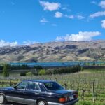 Cromwell Wine Tasting Tour using Classic Car - Who Will Love This Tour?