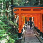 Crowd-Free Kyoto: Fushimi Inari, Nijo Castle & Kinkaku-ji - Nijo Castle: A Glimpse of Shogun Power