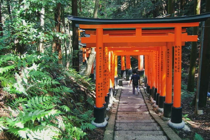 Crowd-Free Kyoto: Fushimi Inari, Nijo Castle & Kinkaku-ji - Nijo Castle: A Glimpse of Shogun Power