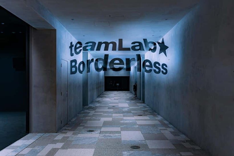 Crowd-Free Tokyo : teamLab, Roppongi Hills Views & NACT - Why This Tour Works Well