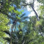 Cruise Abel Tasman to Golden Bay - Why This Tour Offers Good Value