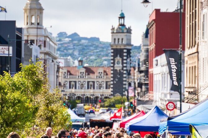 Cruise Dunedin City and Castle Tour - What You’ll Love About This Tour