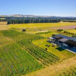 CRUISE SHIP DAY LYTTELTON Hop On Hop Off Wine Tours to Waipara - Who Will Benefit Most?