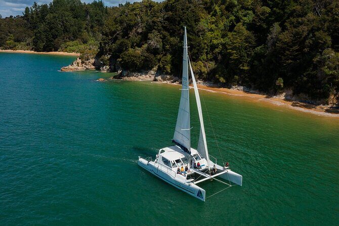 Cruise, Walk, and Sail in Abel Tasman National Park - Who Should Consider This Tour?