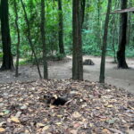 Cu Chi Tunnels Tour: Learn More About Vietnam War History - Visiting the War Remnants and Artifacts