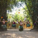 Cultural Day Tour - The Practical Side: What You Need to Know