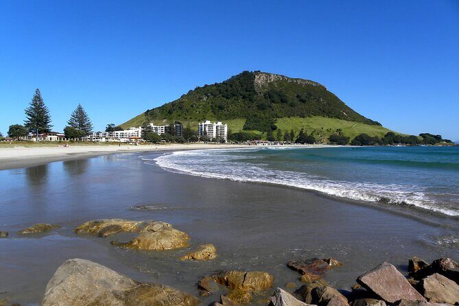 Cultural Rotorua Private Tour Tauranga Port. Whakarewarewa Ticket - What Makes This Tour Stand Out?