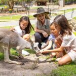 Currumbin Wildlife Sanctuary & Burleigh Heads Private Tours - Whats Included and What To Consider