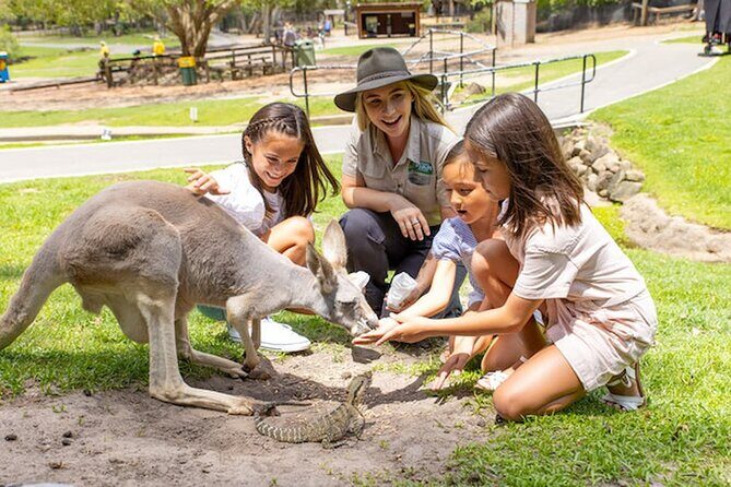 Currumbin Wildlife Sanctuary & Burleigh Heads Private Tours - Whats Included and What To Consider
