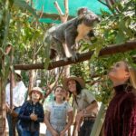 Currumbin Wildlife Sanctuary General Entry Ticket - Is It Worth the Price?
