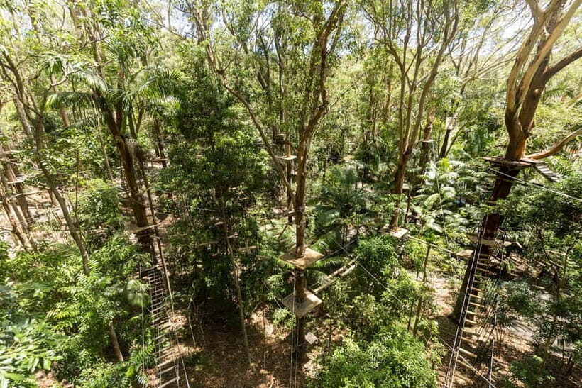 Currumbin Wildlife Sanctuary & TreeTop Challenge Combo - Value for Money