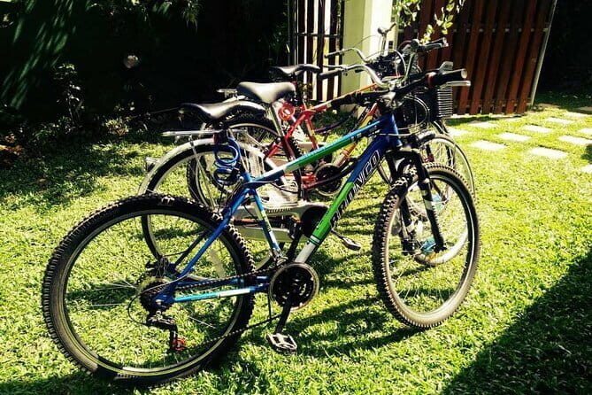 Cycling in Bentota Countryside - Who Will Love This Tour?