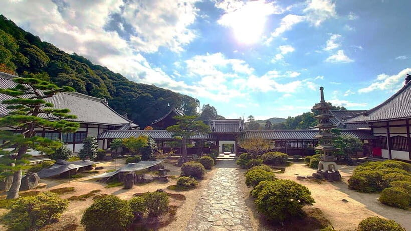 Cycling Tour at Uji's Matcha Green Tea Fields and Heritage - Price and Value