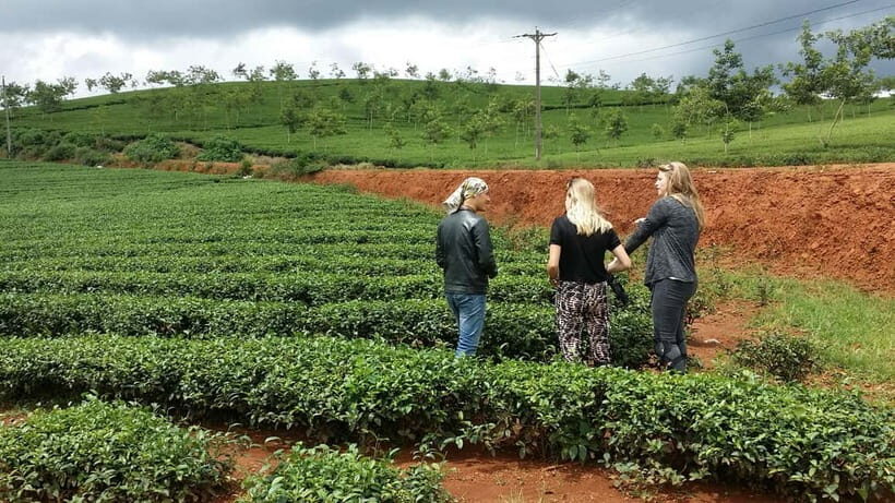 Da Lat: Silk, Coffee, Tea & the Spirit of Kho Full-Day Tour - Practical Details & What to Expect