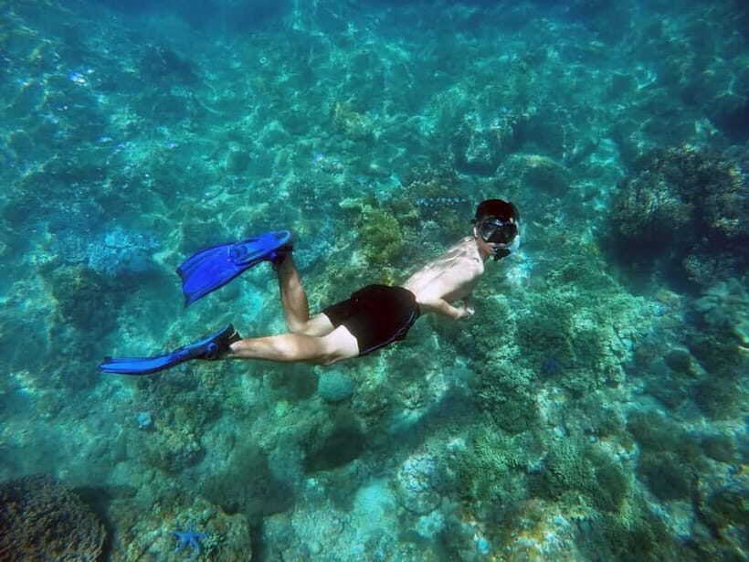 Da Nang/Hoi An: Cham Island Snorkeling or Diving Tour - An Overview of the Experience
