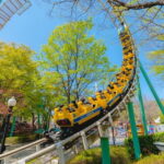 Daegu: E-World Theme Park & 83 Tower Observatory Ticket - Final Thoughts on Value and Suitability
