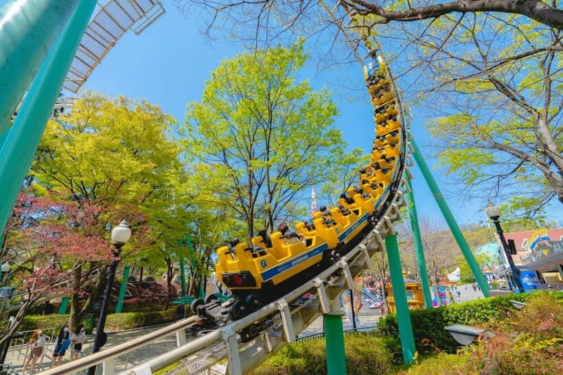 Daegu: E-World Theme Park & 83 Tower Observatory Ticket - Final Thoughts on Value and Suitability