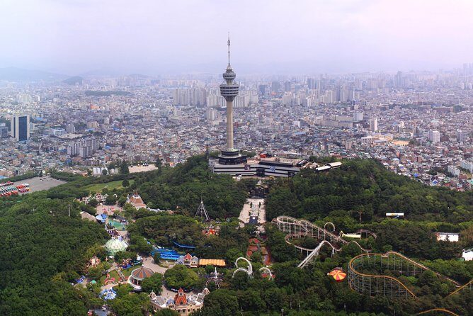 Daegu Hop on Hop off City Tour Bus Discount Ticket () - Experience Quality and Authenticity