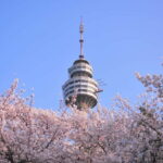 Daegu: Private Taxi Tour Car Charter - What You Can Expect from Your Daegu Taxi Experience