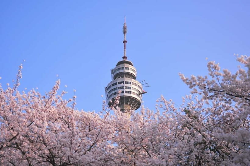 Daegu: Private Taxi Tour Car Charter - What You Can Expect from Your Daegu Taxi Experience