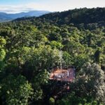 Daintree Discovery Centre Family Pass Ticket - A Deep Dive into the Itinerary