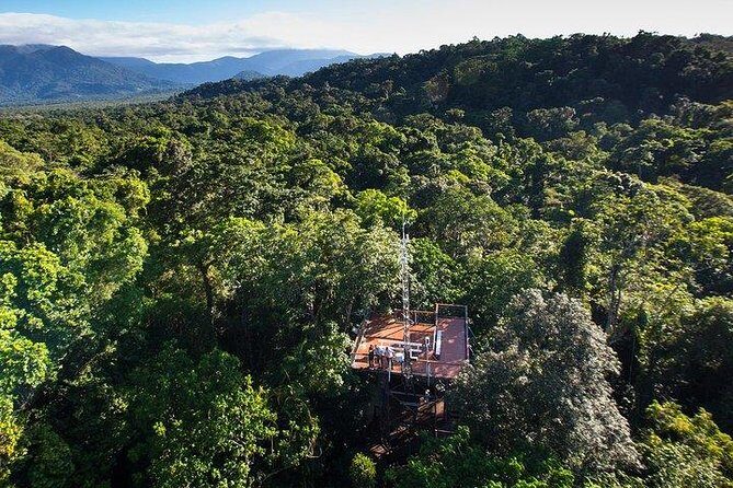 Daintree Discovery Centre Family Pass Ticket - A Deep Dive into the Itinerary