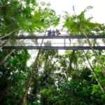 Daintree Discovery Centre Single Pass - What Visitors Love Most