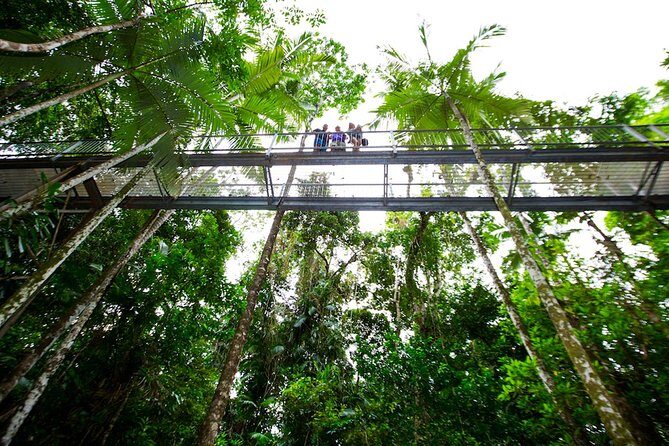 Daintree Discovery Centre Single Pass - What Visitors Love Most