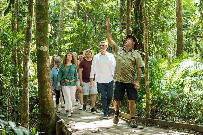 Daintree Rainforest and Cape Tribulation Full Day Tour - What the Tour Means for You