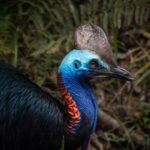 Daintree Rainforest, Mossman Gorge Small-Group from Port Douglas - What Do Guests Say?