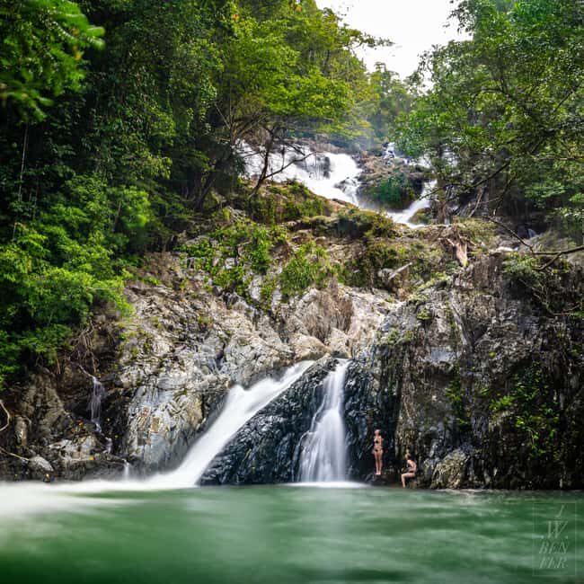 Daintree Rainforest: Waterfall Walk, Swim & Crocodile Cruise - Key Points