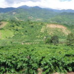 Dalat Countryside Motorbike Tour - Full day Easy Rider Tour - The Experience from the Traveler’s Perspective