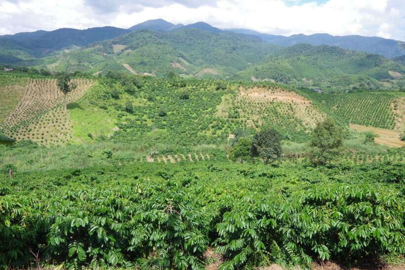 Dalat Countryside Motorbike Tour - Full day Easy Rider Tour - The Experience from the Traveler’s Perspective