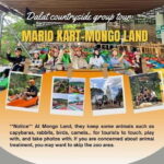 Dalat: Mario Kart - Mongo Land - Countryside Small Group - The Itinerary in Detail: What Makes Each Stop Special