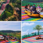 Dalat: Mario kart - Mongo Land - Countryside Tour - Itinerary Breakdown: What You’ll See and Do