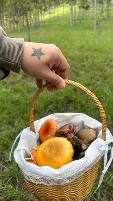 Dalat: Mushroom foraging & hiking, forest bathing & wellness - Why This Tour Is Special