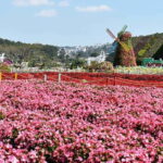 Dalat: Sightseeing and Waterfalls Tour - Exploring Dalat: What the Tour Offers