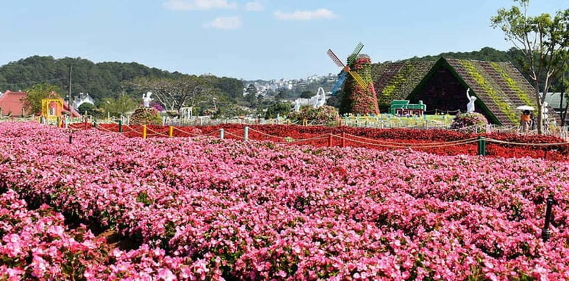 Dalat: Sightseeing and Waterfalls Tour - Exploring Dalat: What the Tour Offers