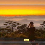 Dalat: Sunrise Trekking and Cloud Hunting experience - The Itinerary in Detail
