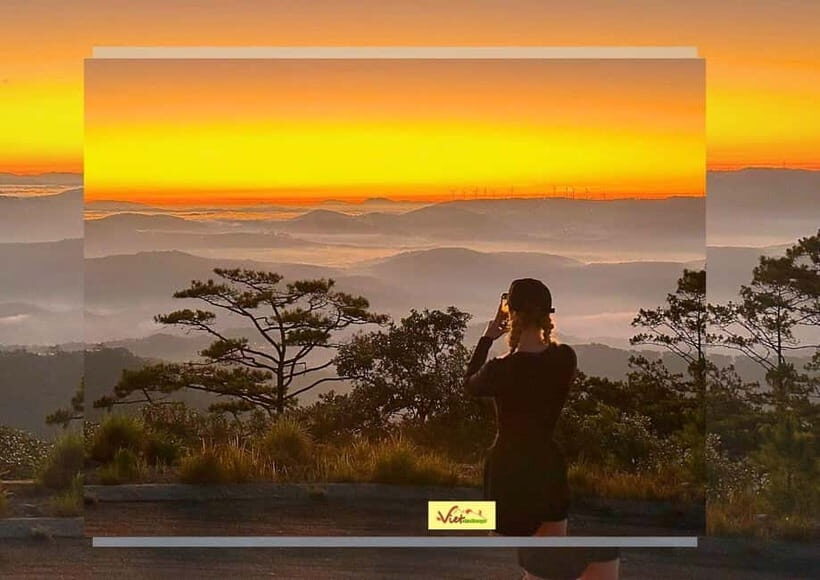 Dalat: Sunrise Trekking and Cloud Hunting experience - The Itinerary in Detail