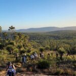 Darling Range Scenic Sunset Hike and Graze in Australia - Nightfall and the Starry Sky