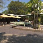Darwin: Adelaide River Queen Original Jumping Crocodiles - Who Will Love This Tour?