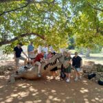 Darwin and Crocodile Tour - Who Should Consider This Tour?