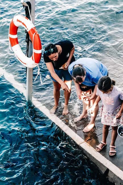 Darwin: Aquascene Fish Feeding Experience - Authentic Experiences from Visitors