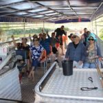 Darwin City Tour + Crocodile Cruise+Lunch Optional - What Travelers Say