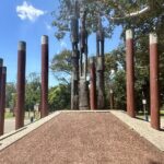 Darwin Distilled Land and Sea Story Tour - What to Expect and Practical Tips