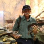 Darwin: Hop-On Hop-Off Bus, Crocosaurus Cove and RFDS Entry - What the Tour Includes and How It Works