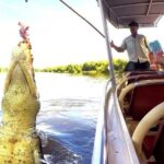 Darwin: Jumping Crocodile Adventure Cruise with Lunch - The Itinerary in Detail: What to Expect on the Day